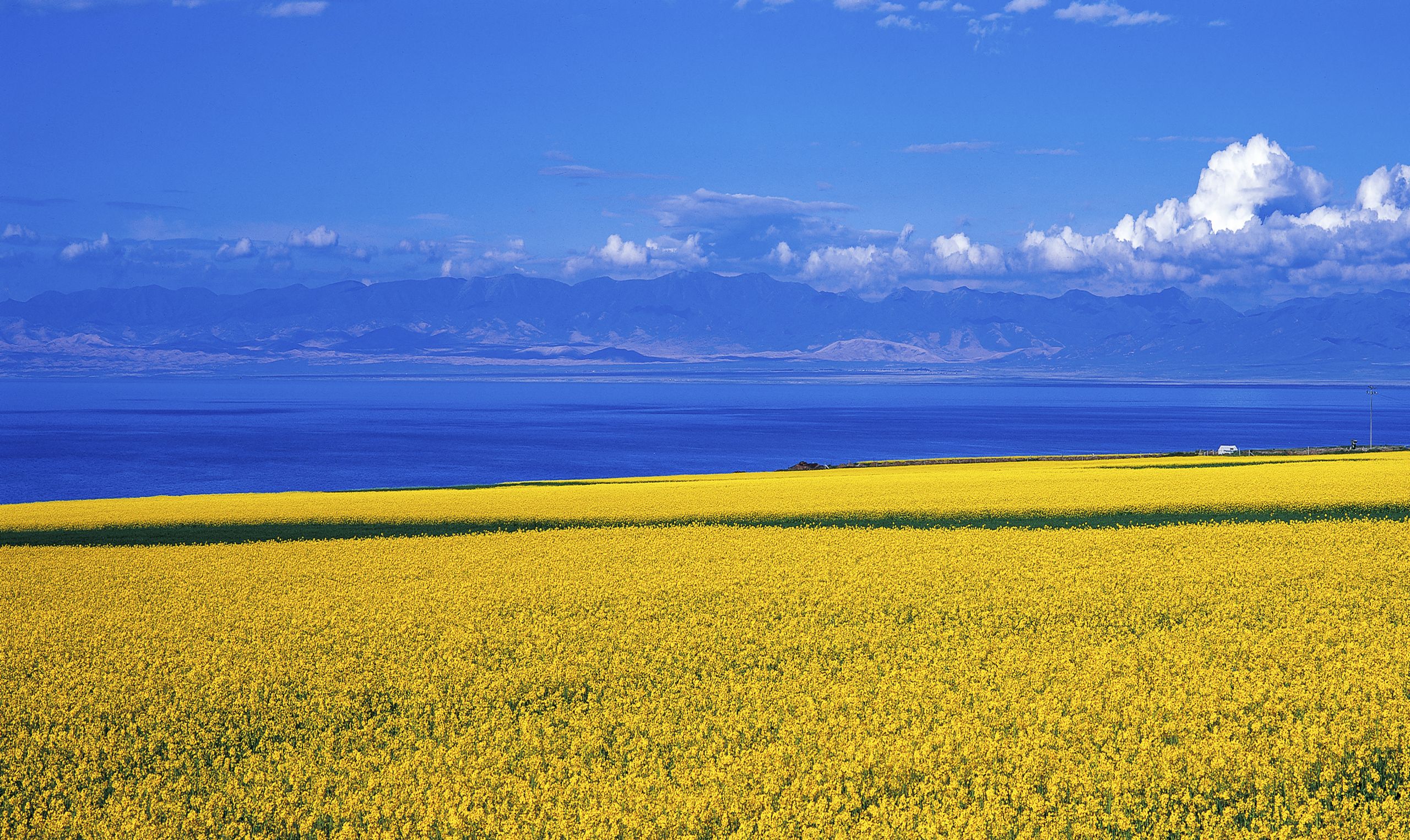 Qinghai – CNTO